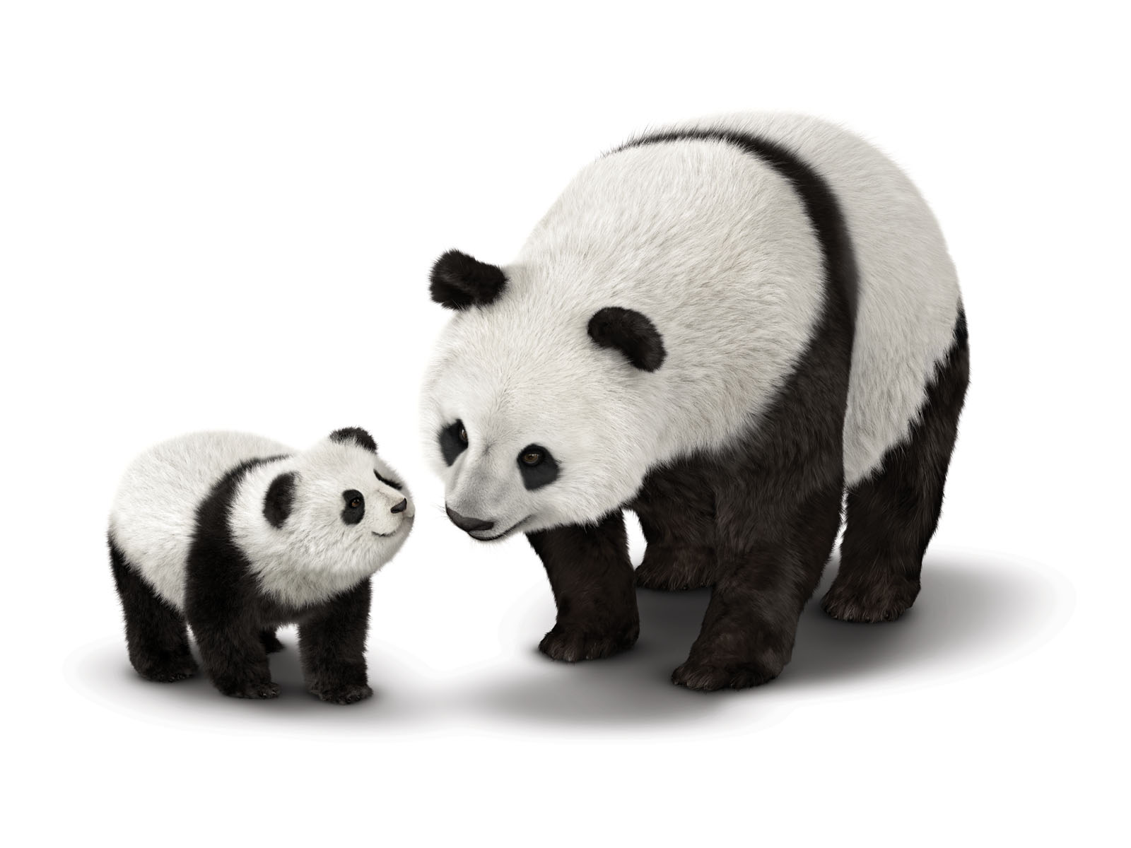 The Houdini rendering team did an incredible job of bringing the photo ...