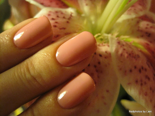 Nailphotos by Lani: Go Pink Wednesday- OPI Heart Throb and subtle stamping