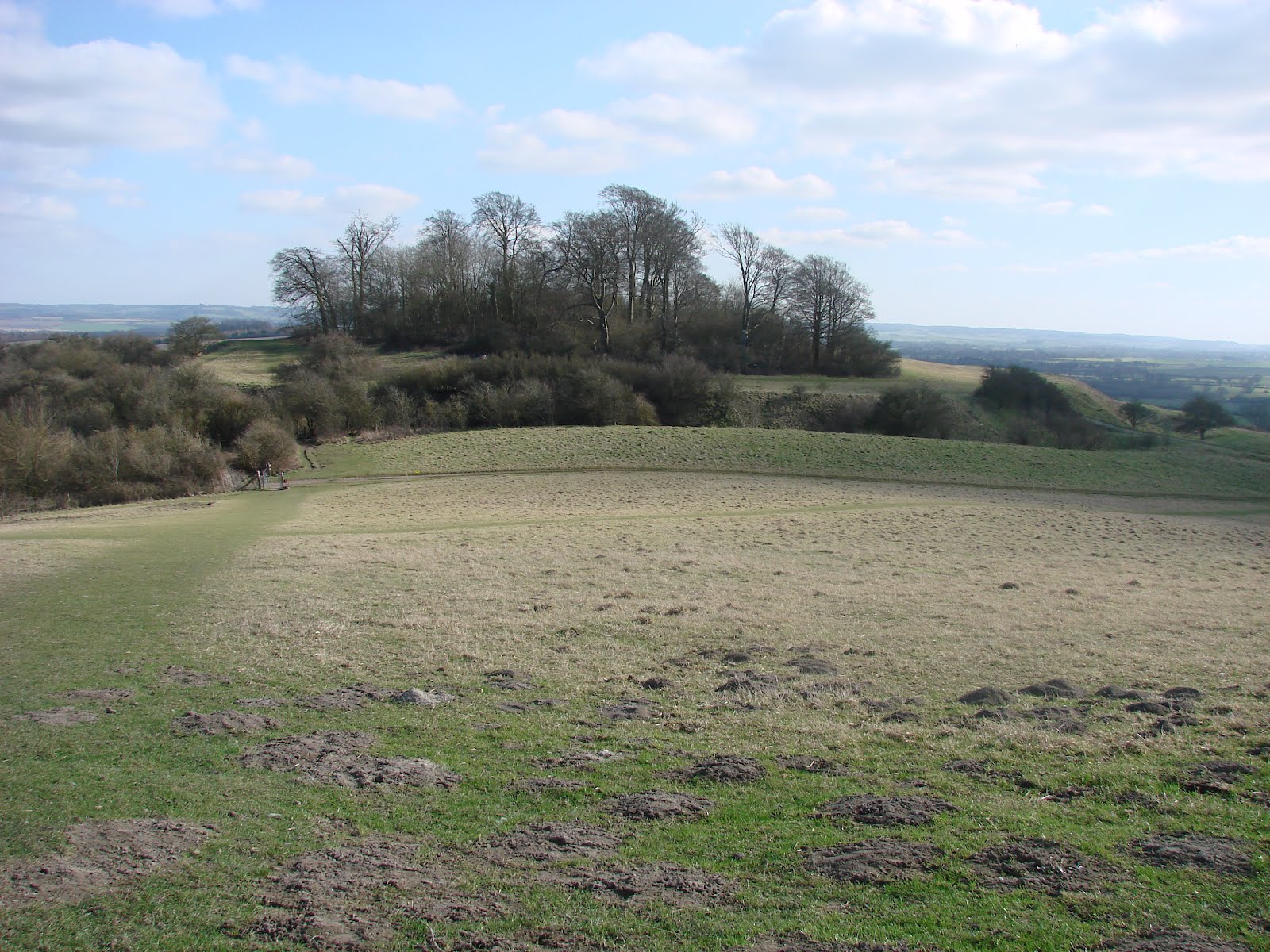 WAY THROUGH WITH YOU: Wittenham Clumps
