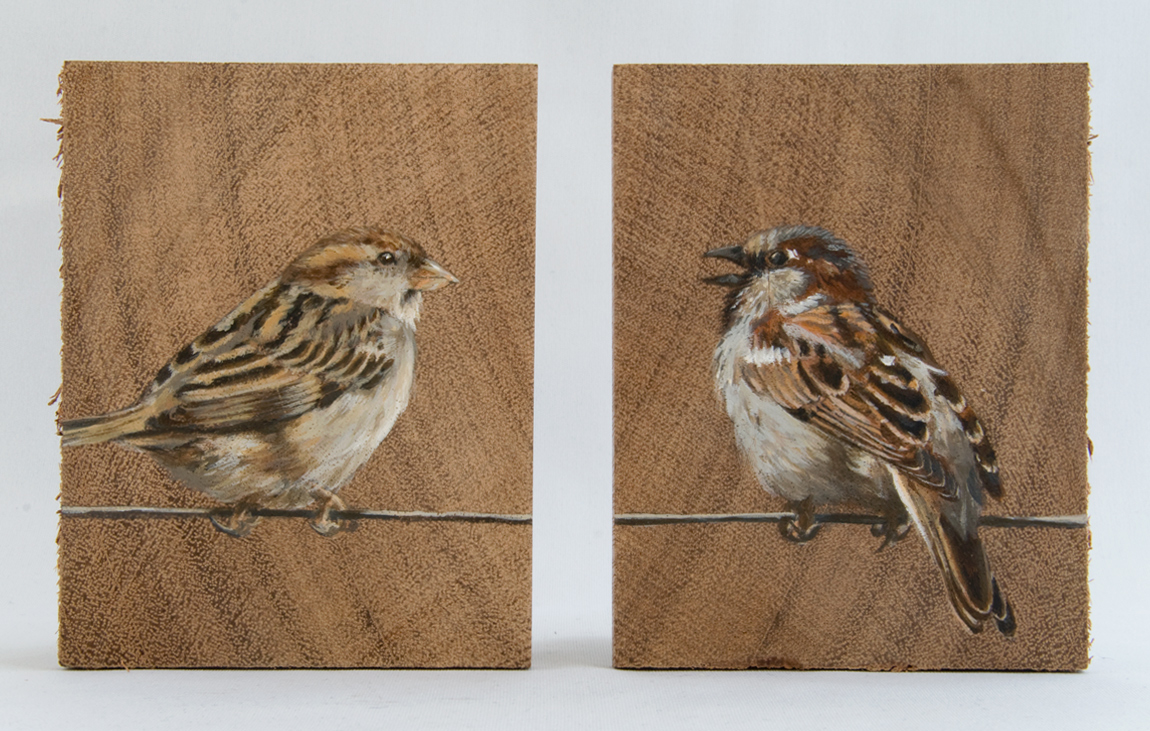 Vogelhoutjes Mussen-twist