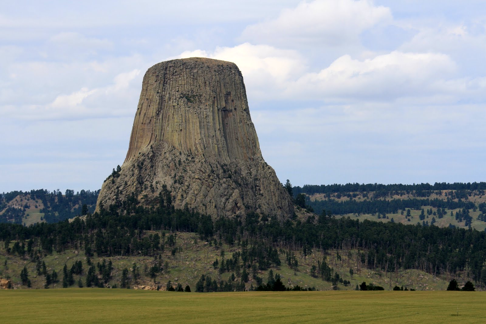 Serendipity and Orchids: Eastern Wyoming