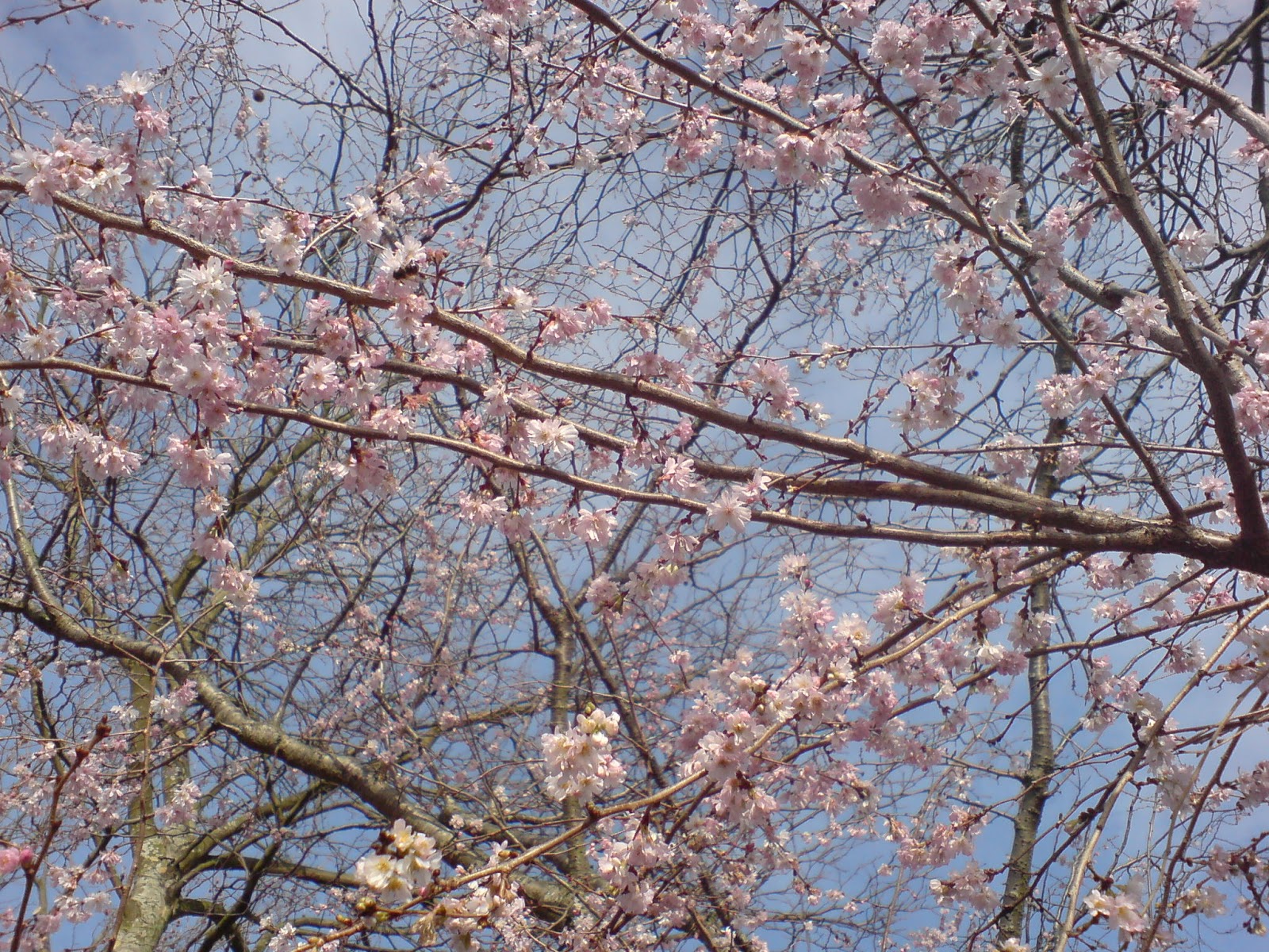 MICROCKNIT CREATIONS: COOL SPRING FASHION