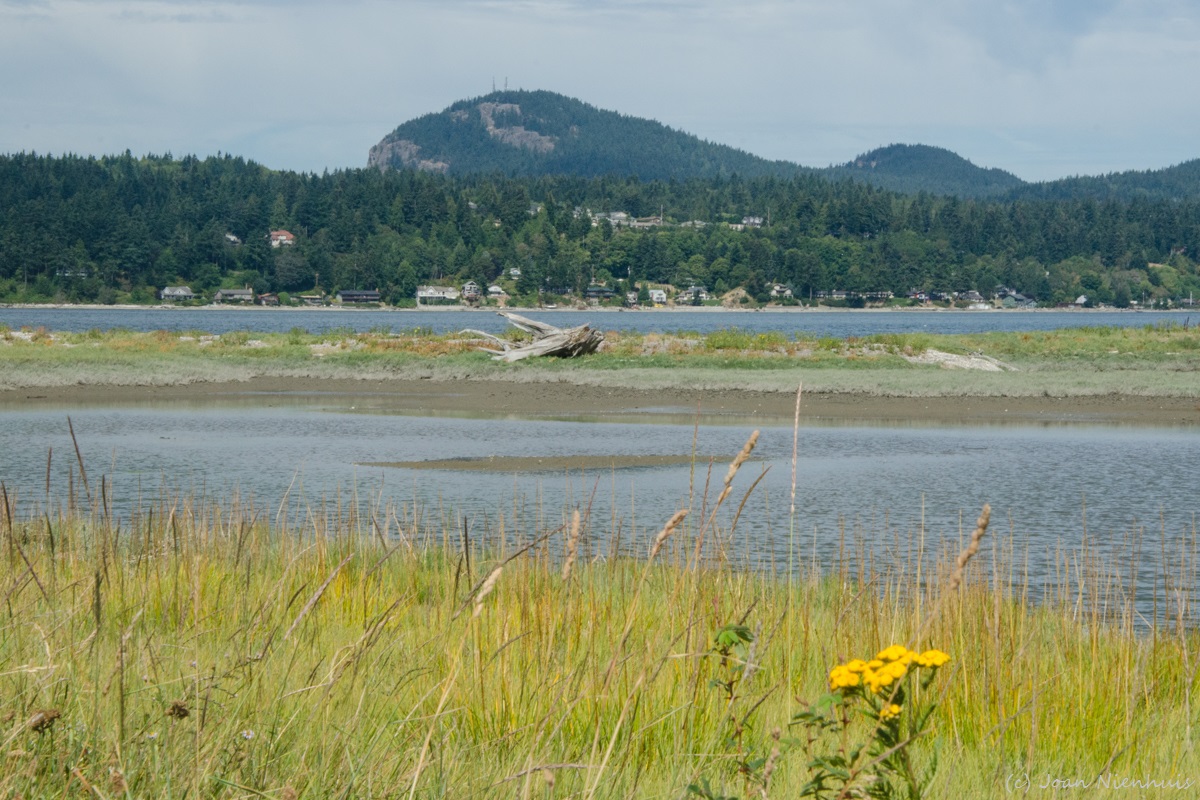 Pacific Northwest Photography: Kiket Trail, Swinomish Reservation