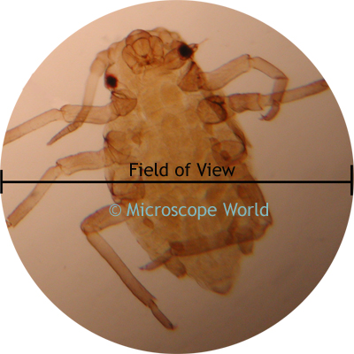 Microscope World Blog: Microscope Field of View