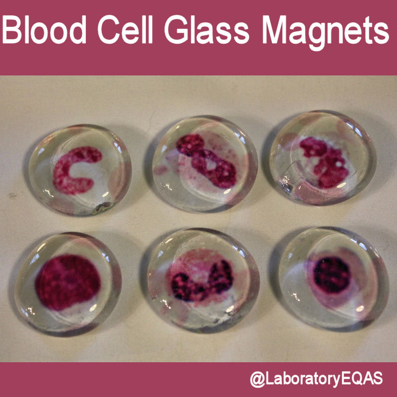 Medical Laboratory and Biomedical Science: White Blood Cell Glass Magnets