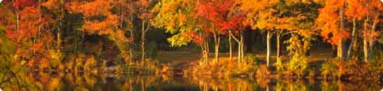 Branson Show News: Peak Fall Foliage Viewing Information in Branson Mo