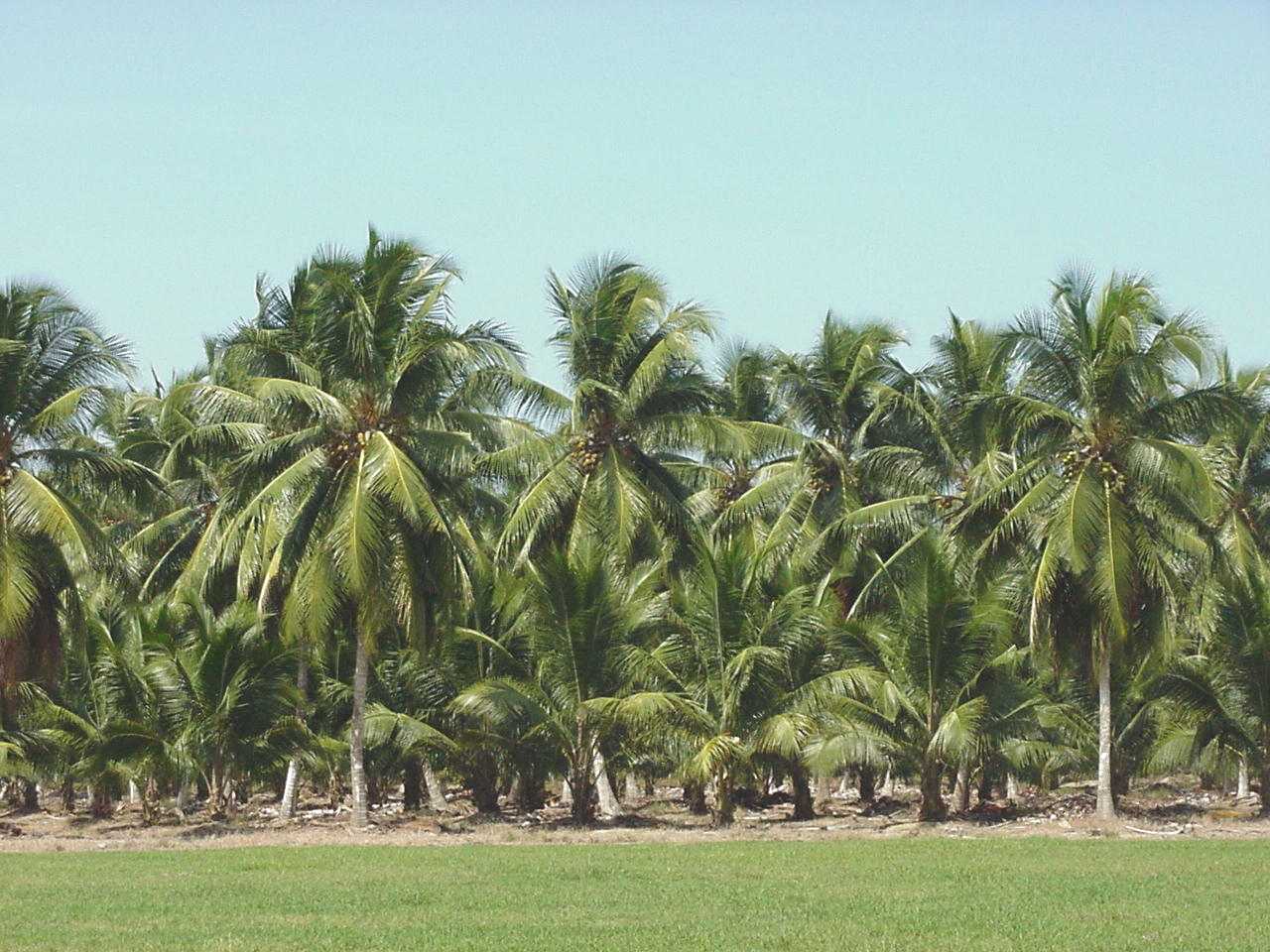 Talking about Passions