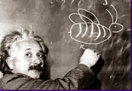 Explicativa ~ Caracteristicas de la ciencia