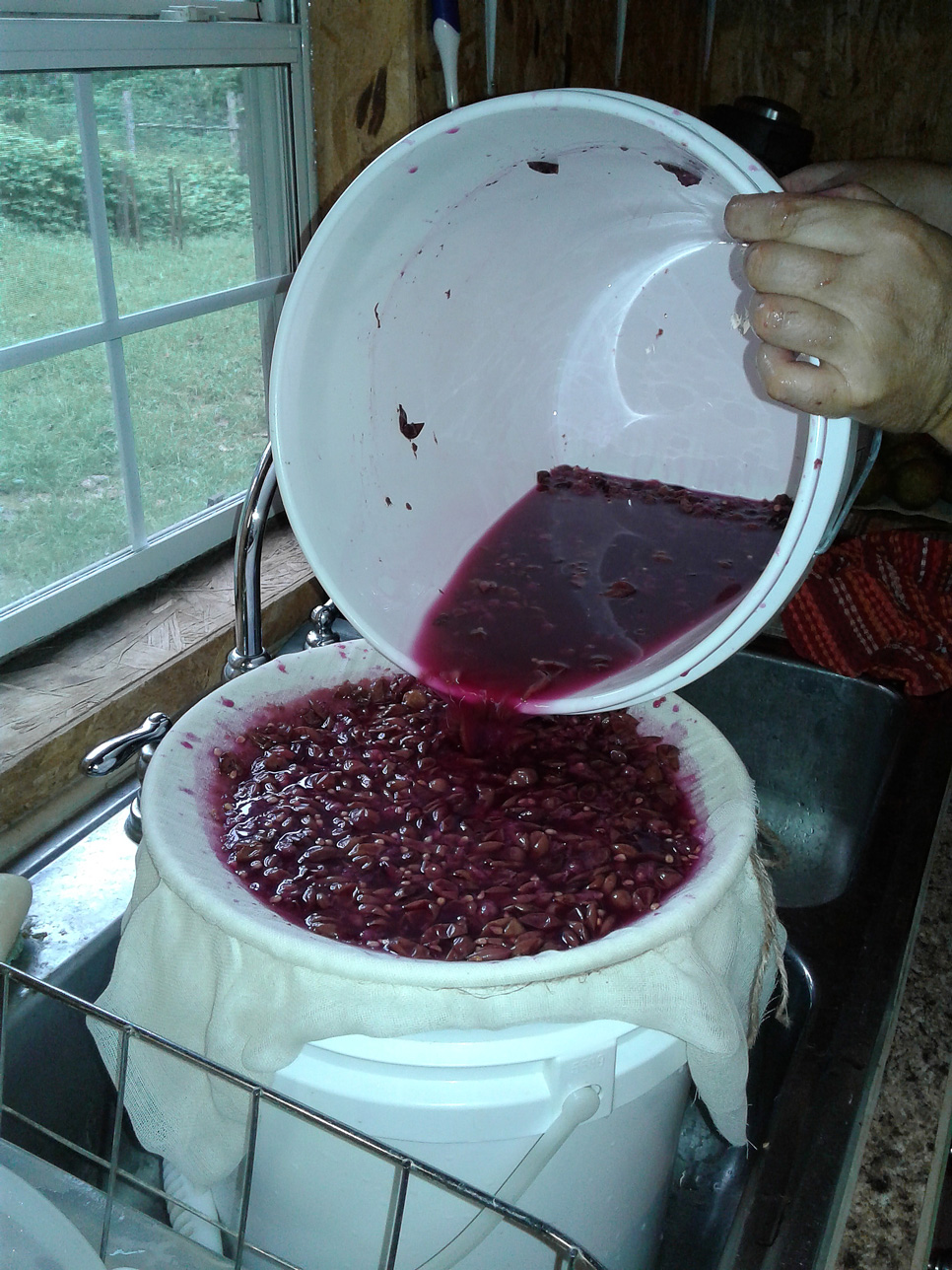 Adventures in Winemaking – maitrihomestead.com