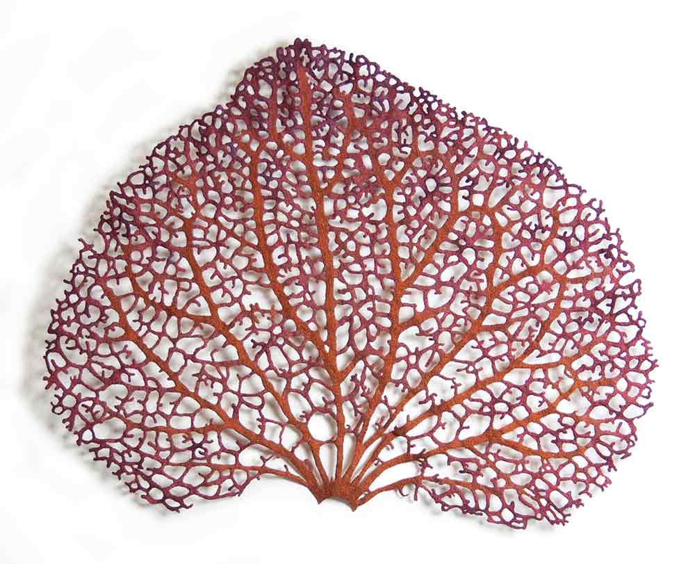 aprendendo a bordar: Meredith Woolnough