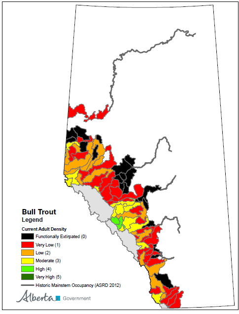 Fishing Alberta with Pike Pinkster: A Load of Bull