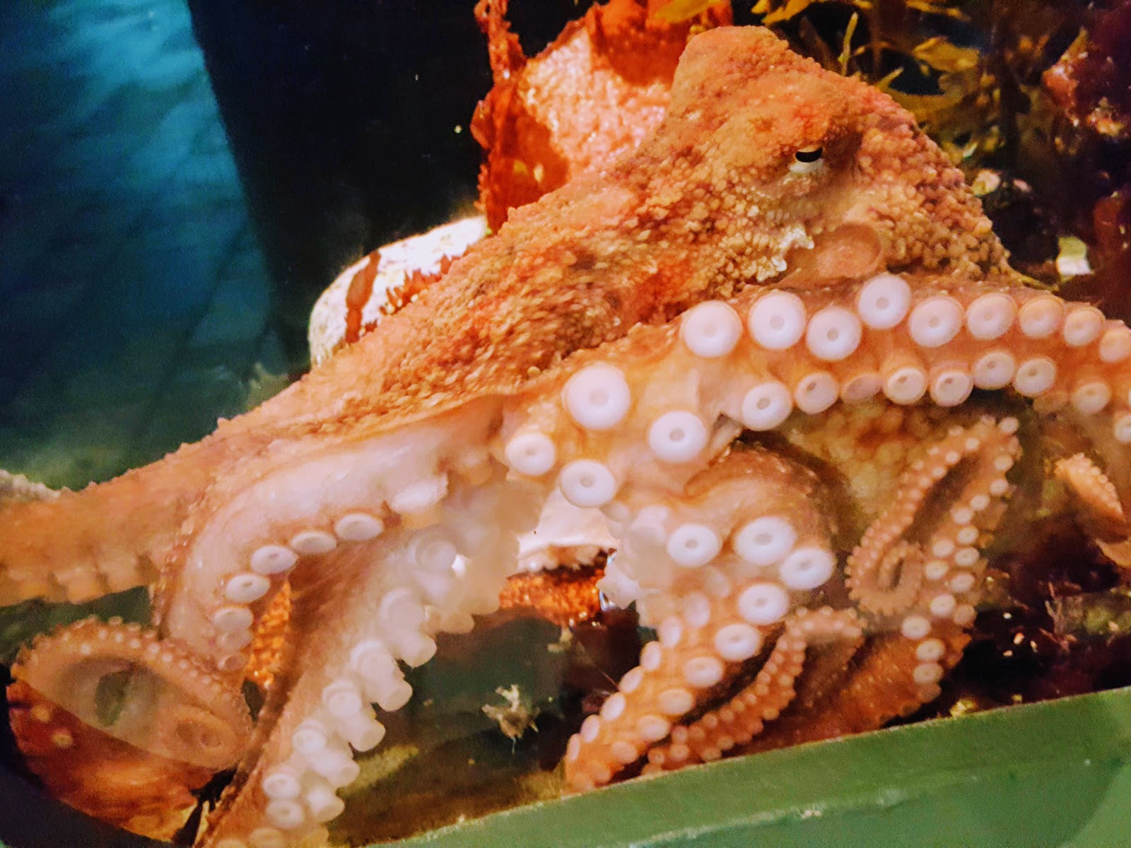 5 Things To Do In Monterey, CA