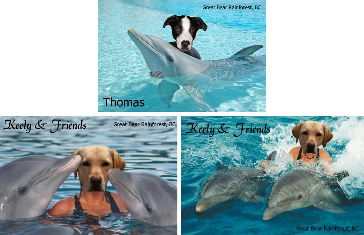 Keely & Thomas: Keely's Birthday Holiday : CANADA