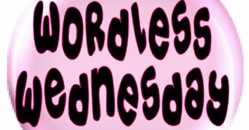 A Nice Place In The Sun: Wordless Wednesday!