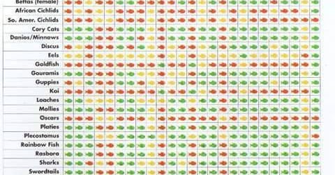 Freshwater fish compatibility chart