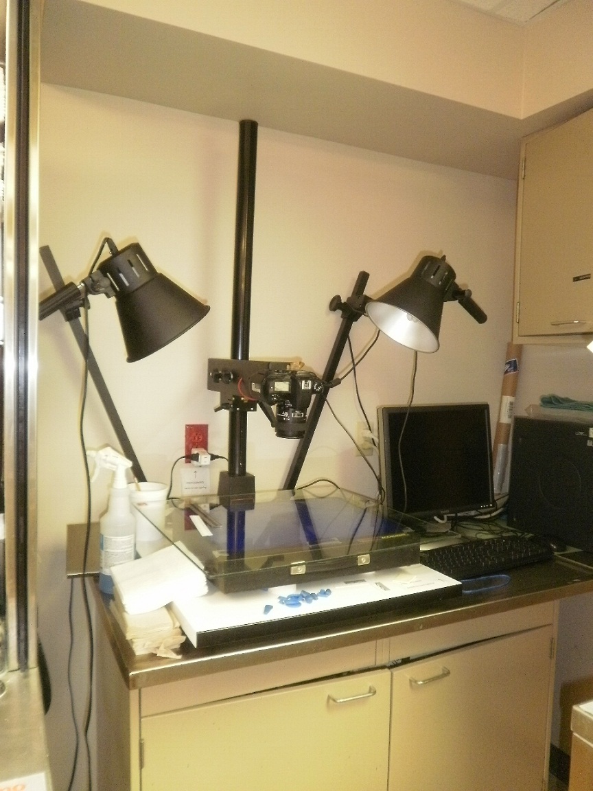 The Making of a Pathologists' Assistant: A Trip to the Pathology ...