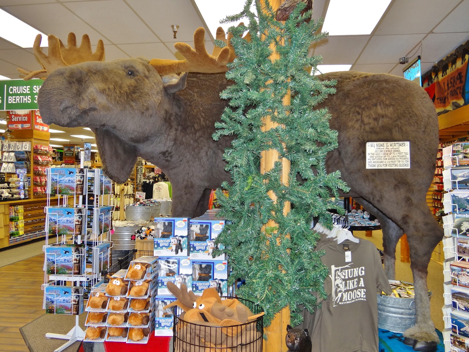 Liv4cruzin... My life and welcome to it!