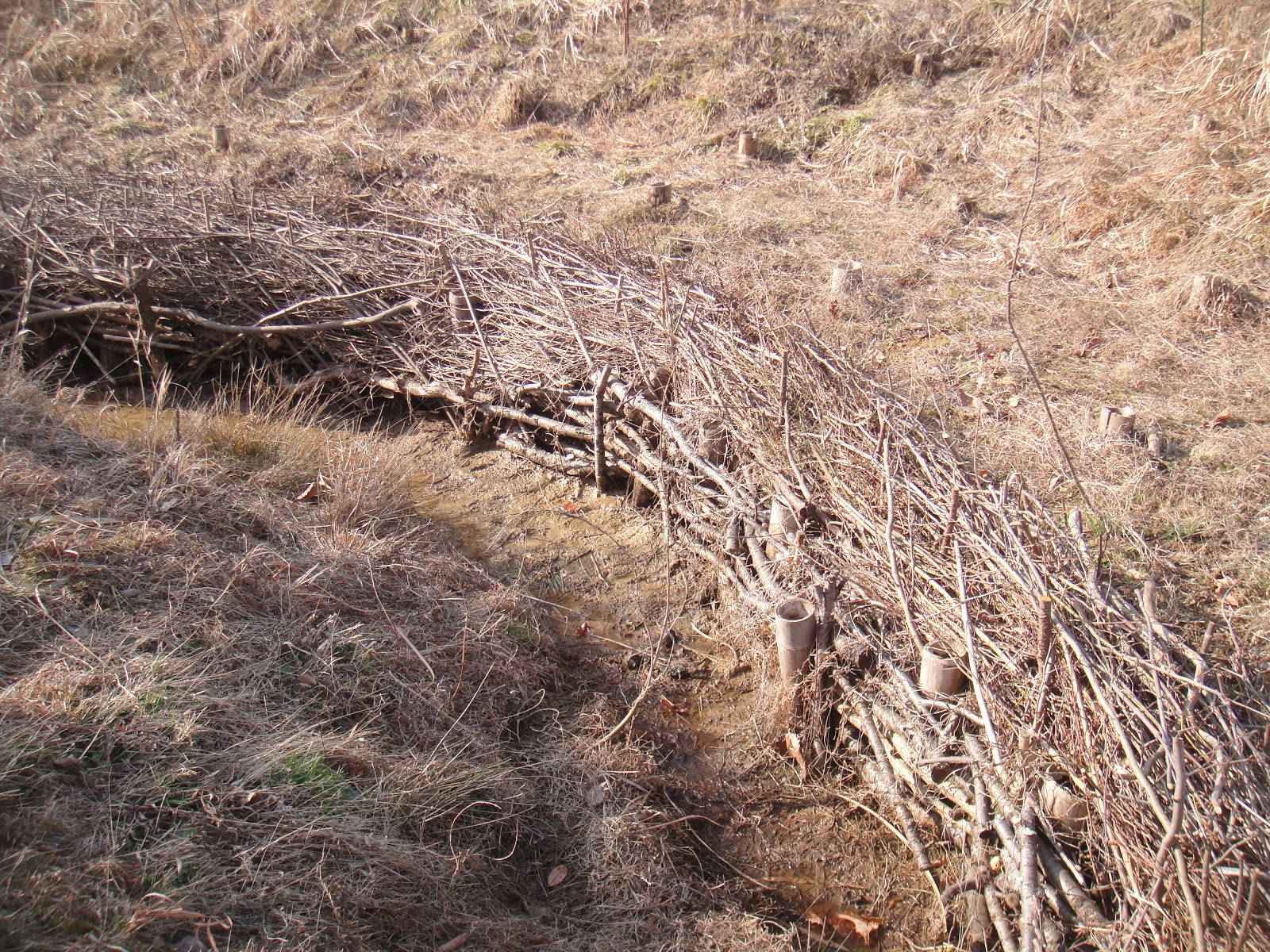 越麻呂日記: しがらみ