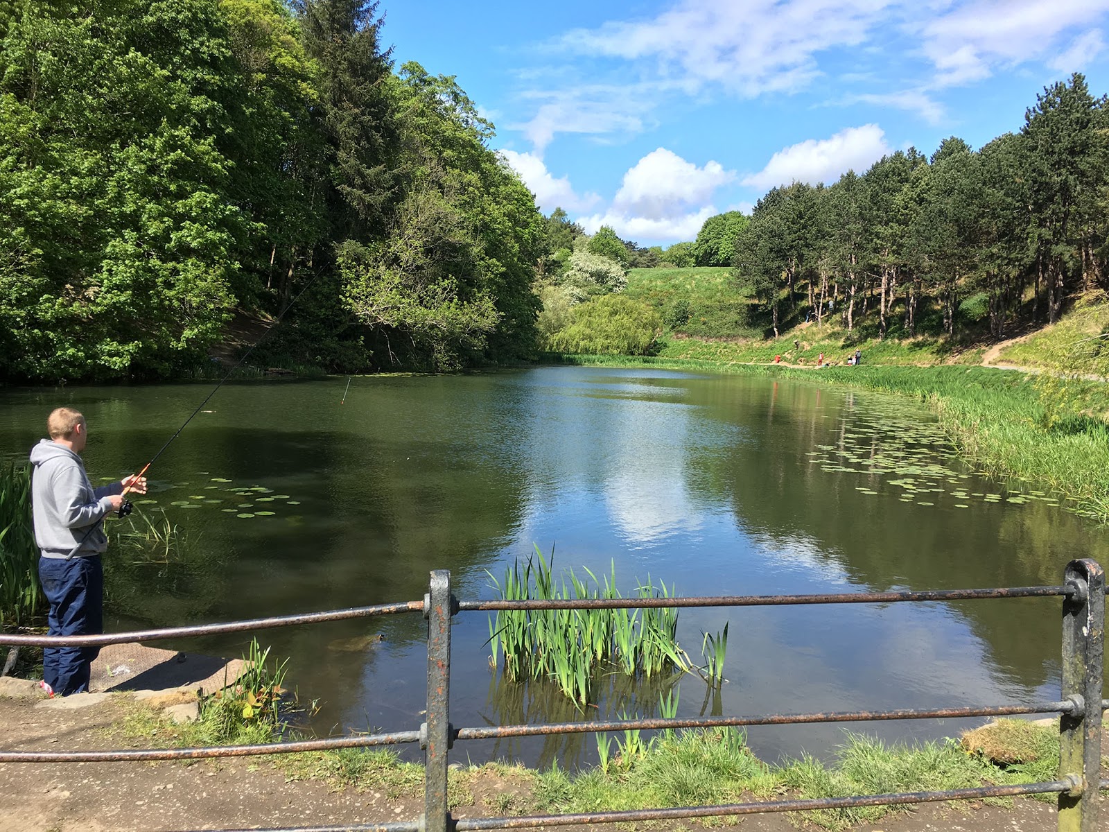 Running Routes: Dublin Phoenix Park Running Route