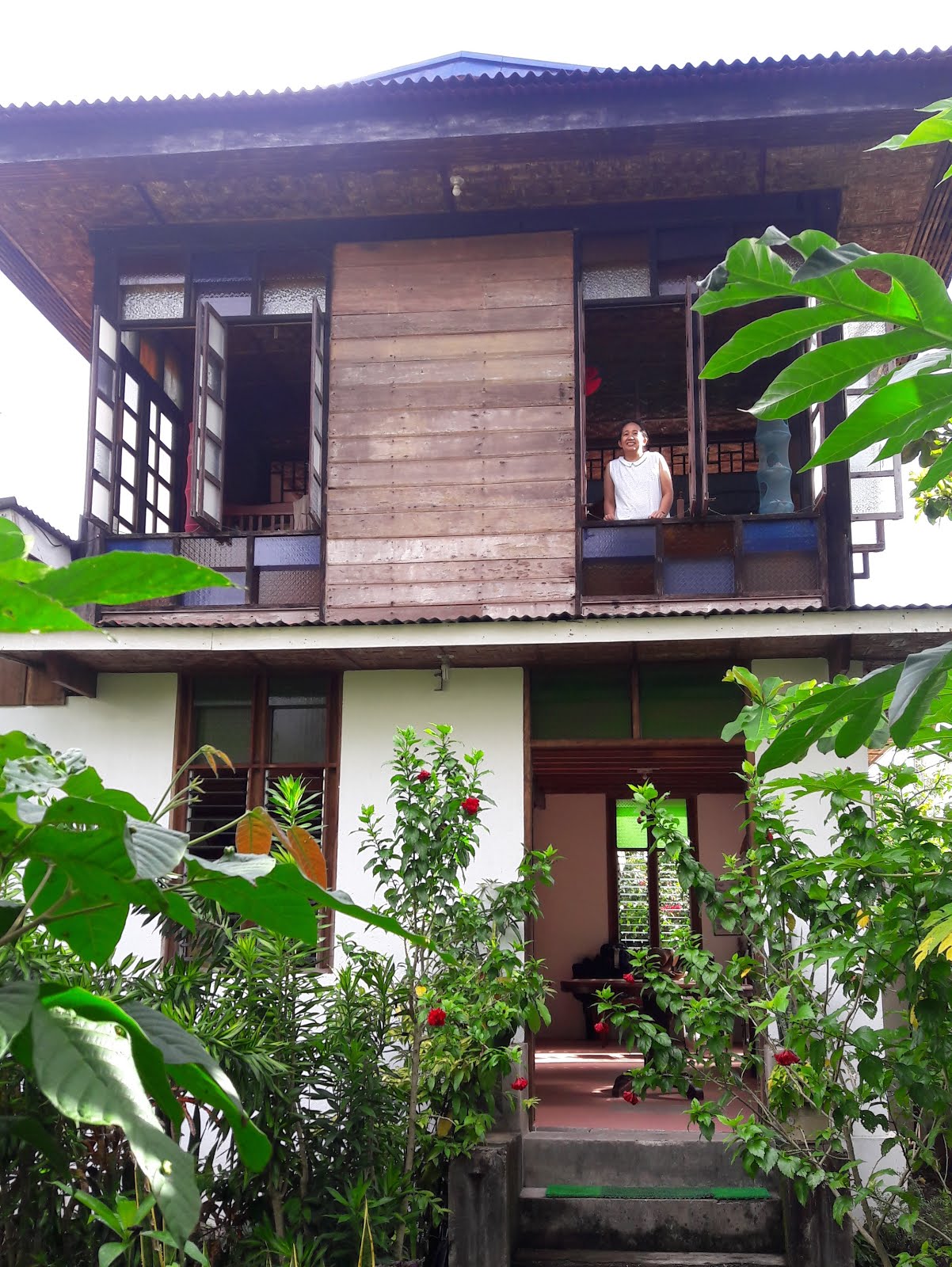OUR PHILIPPINE TREES: The Anonang in the Old Cabrera House