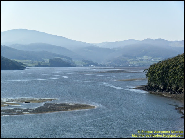 Ría de Ribadeo: La ría de Ribadeo