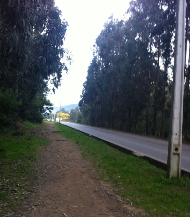.: Fotos de la comuna de LEBU (Chile)