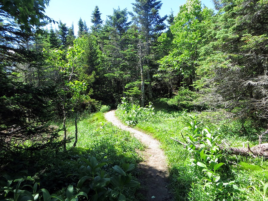 Hiking in the White Mountains: Great Range Traverse