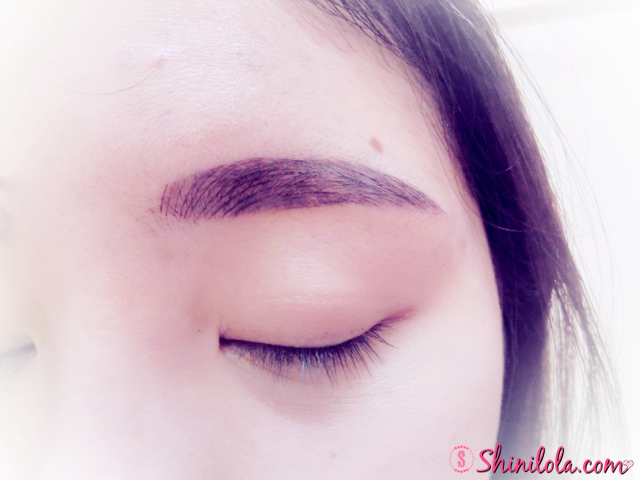 Floating Eyebrow Embroidery @ E Image — SHINI LOLA | Your Guide to ...