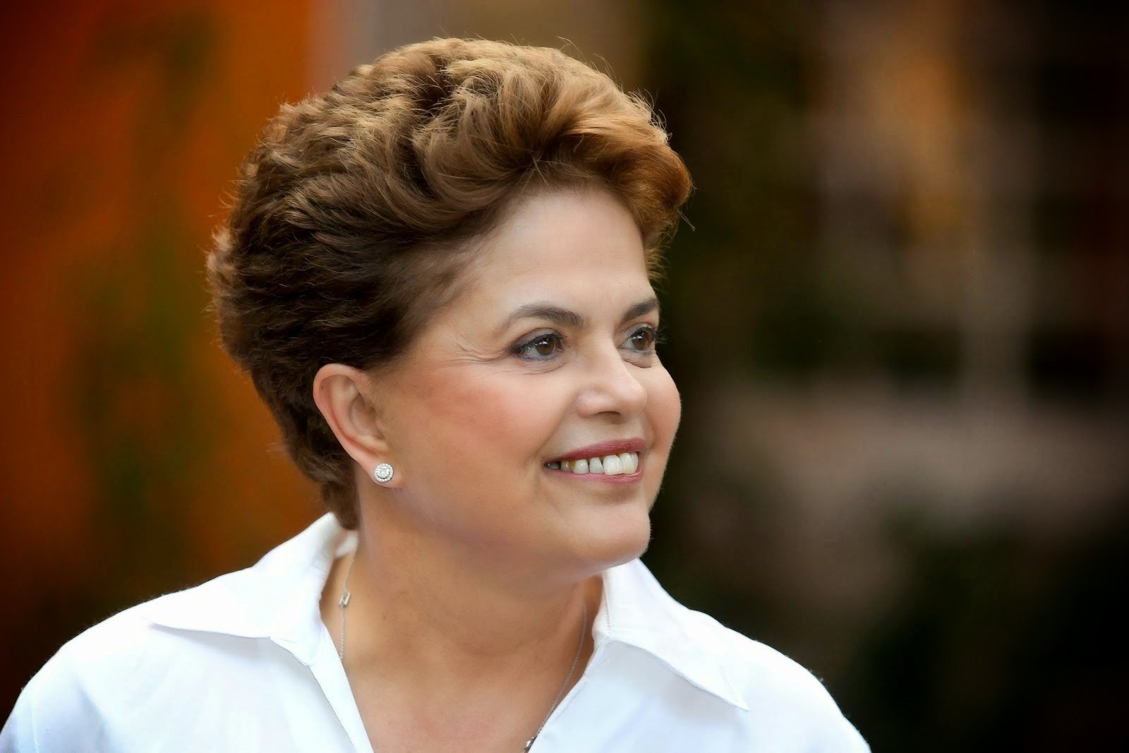 Blog do Oldon: Dilma Rousseff por mais quatro anos, no limite