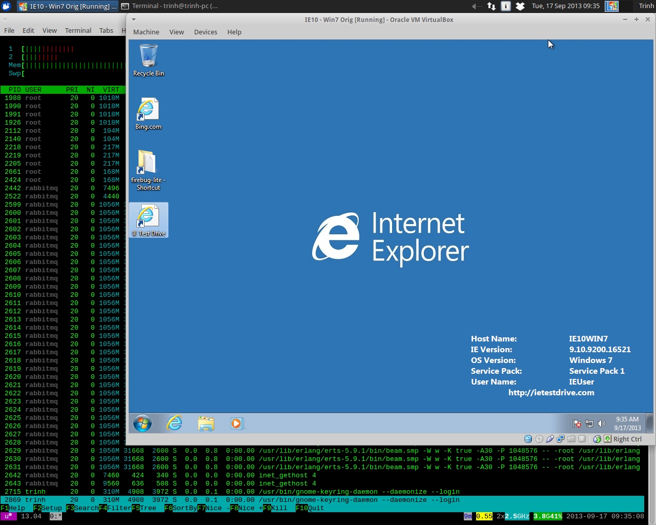 Linux - Test website in Internet Explorer on a Linux machine