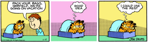 Teacher Lu Online: Garfield Comic Strips (Vacation)