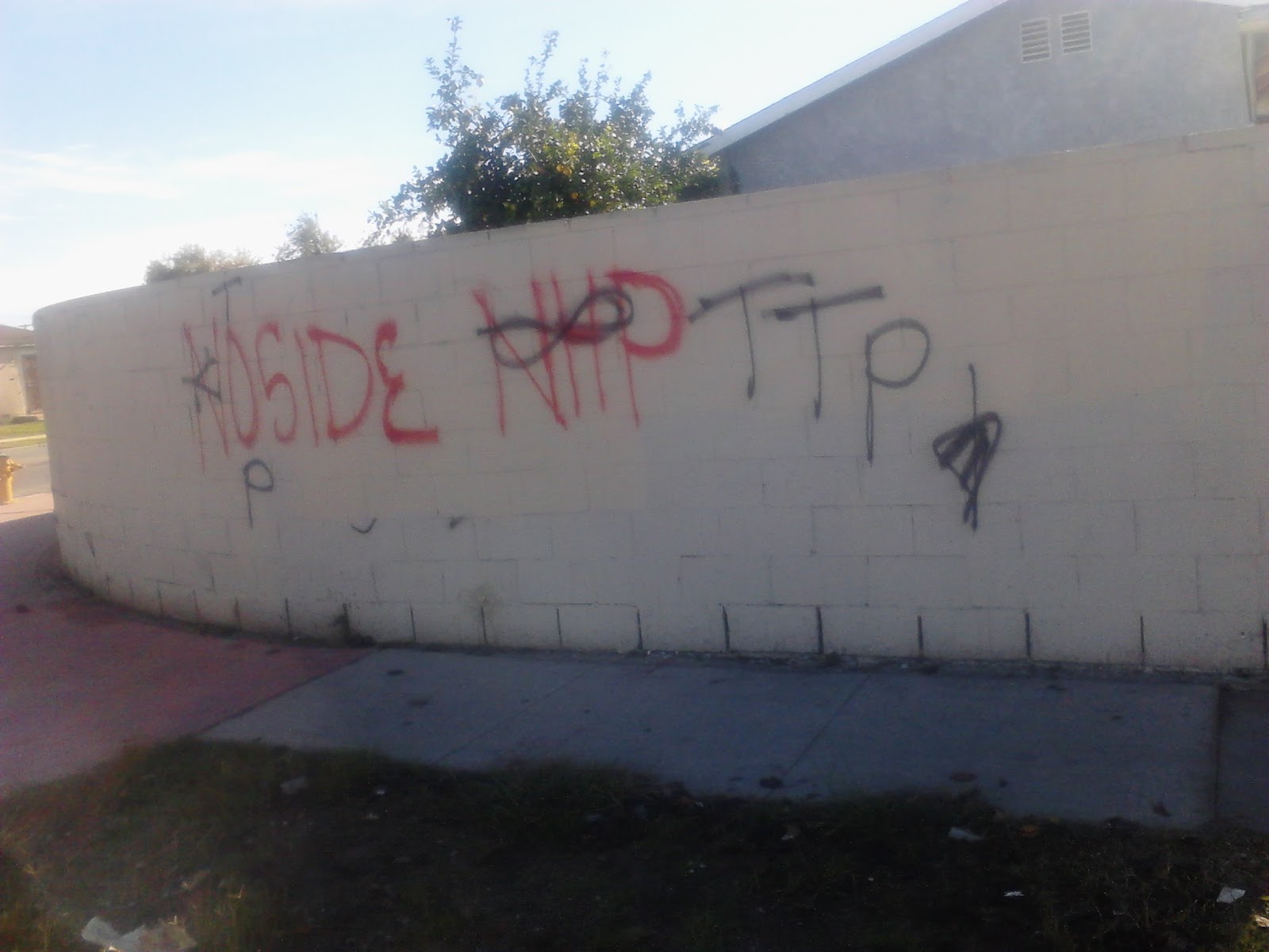 blood gangs graffiti: Tree top piru ( compton )