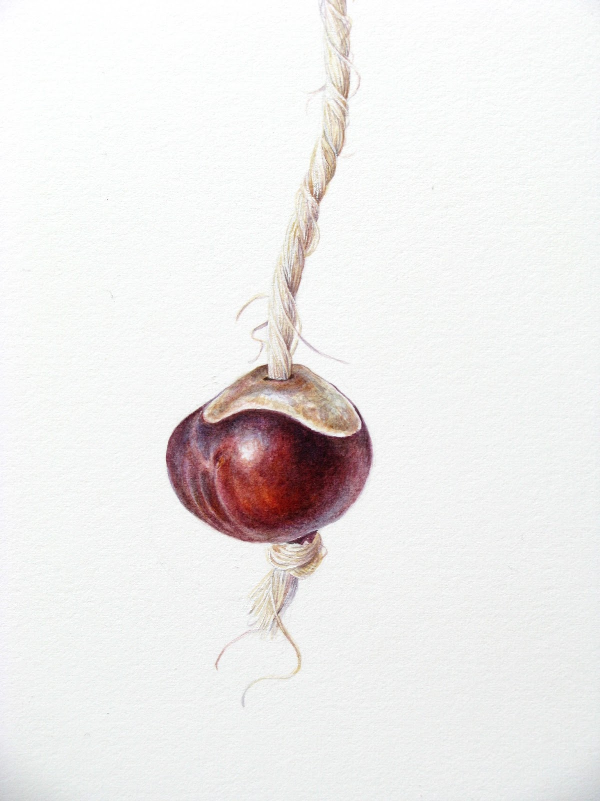 Botanical Sketches and Other Stories: Botanical Art Gallery