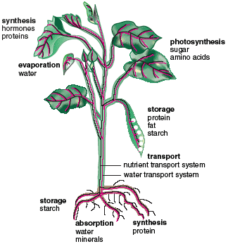 #67 Transport of materials from sources to sinks at different seasons ...