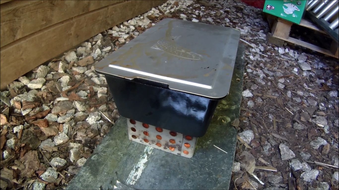 Cornish Shore and Kayak Fisherman: Catching and Cooking Fish and ...