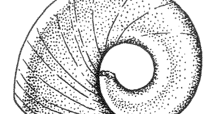 Variety of Life: Coreospiridae