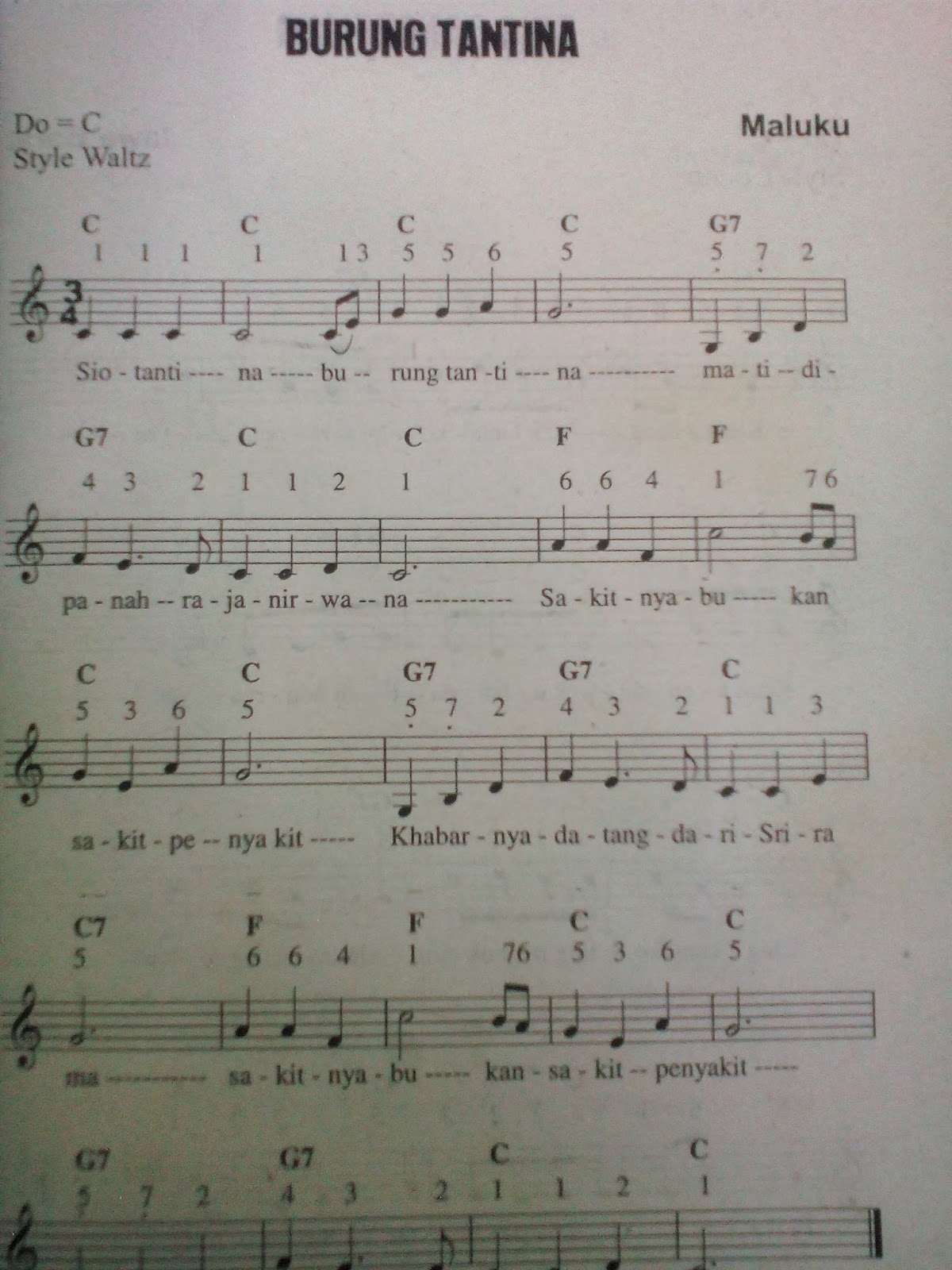 Not Lagu Daerah BURUNG TATINA Maluku | Adsentrax