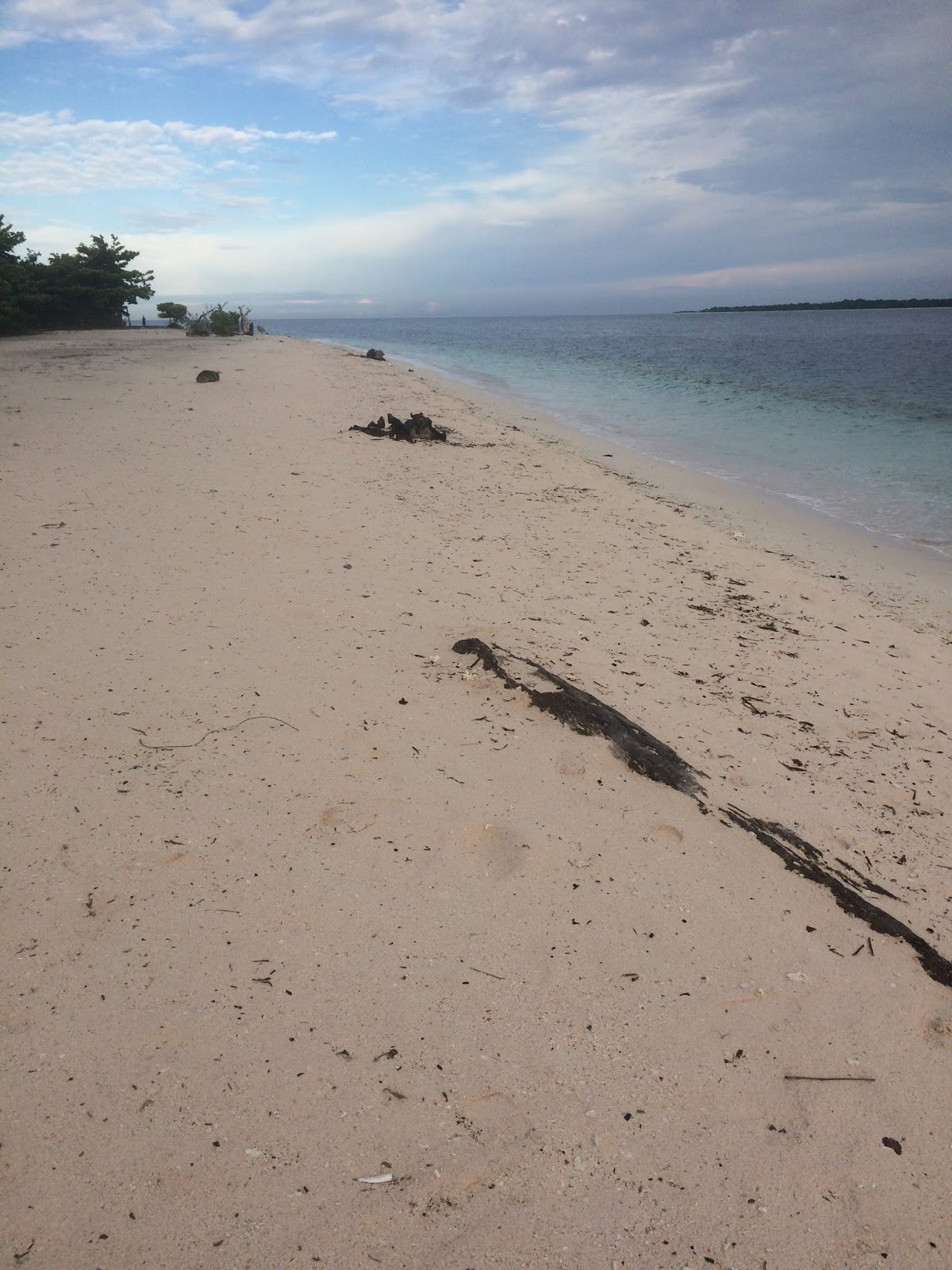 The Pink Sand Beach (Sta. Cruz Island) @ Zamboanga City; Philippines ...
