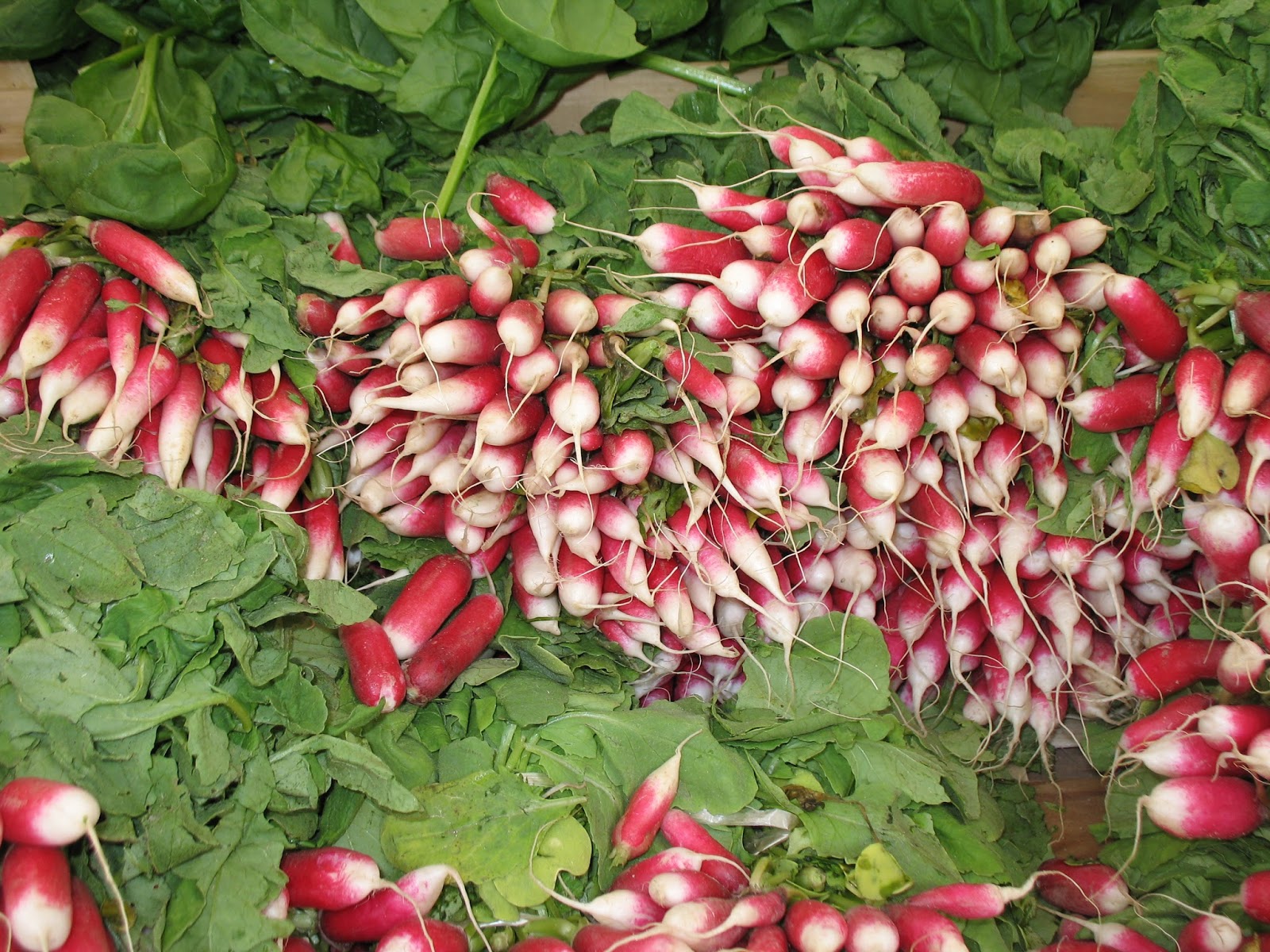 Suburban Gourmande: To Market, To Market