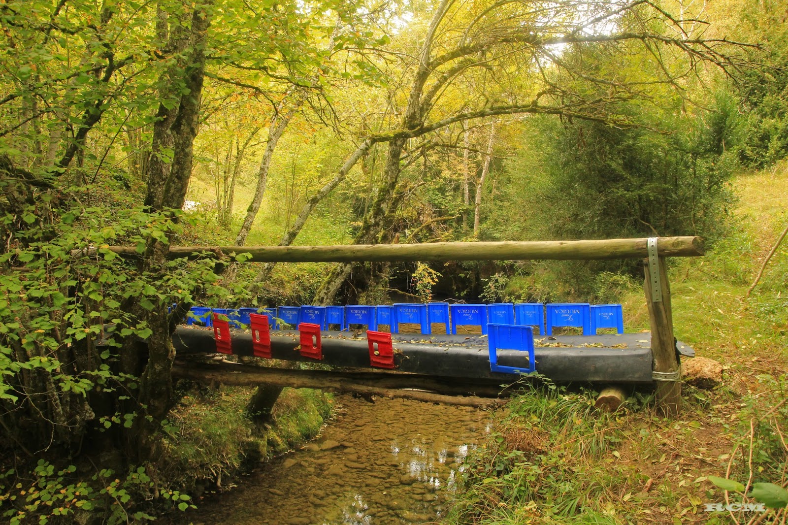 PISAKAMPAS: DE NUEVO EN IGOROIN: MUSITU-ROITEGI-STA. TEODOSIA-BITIGARRA ...