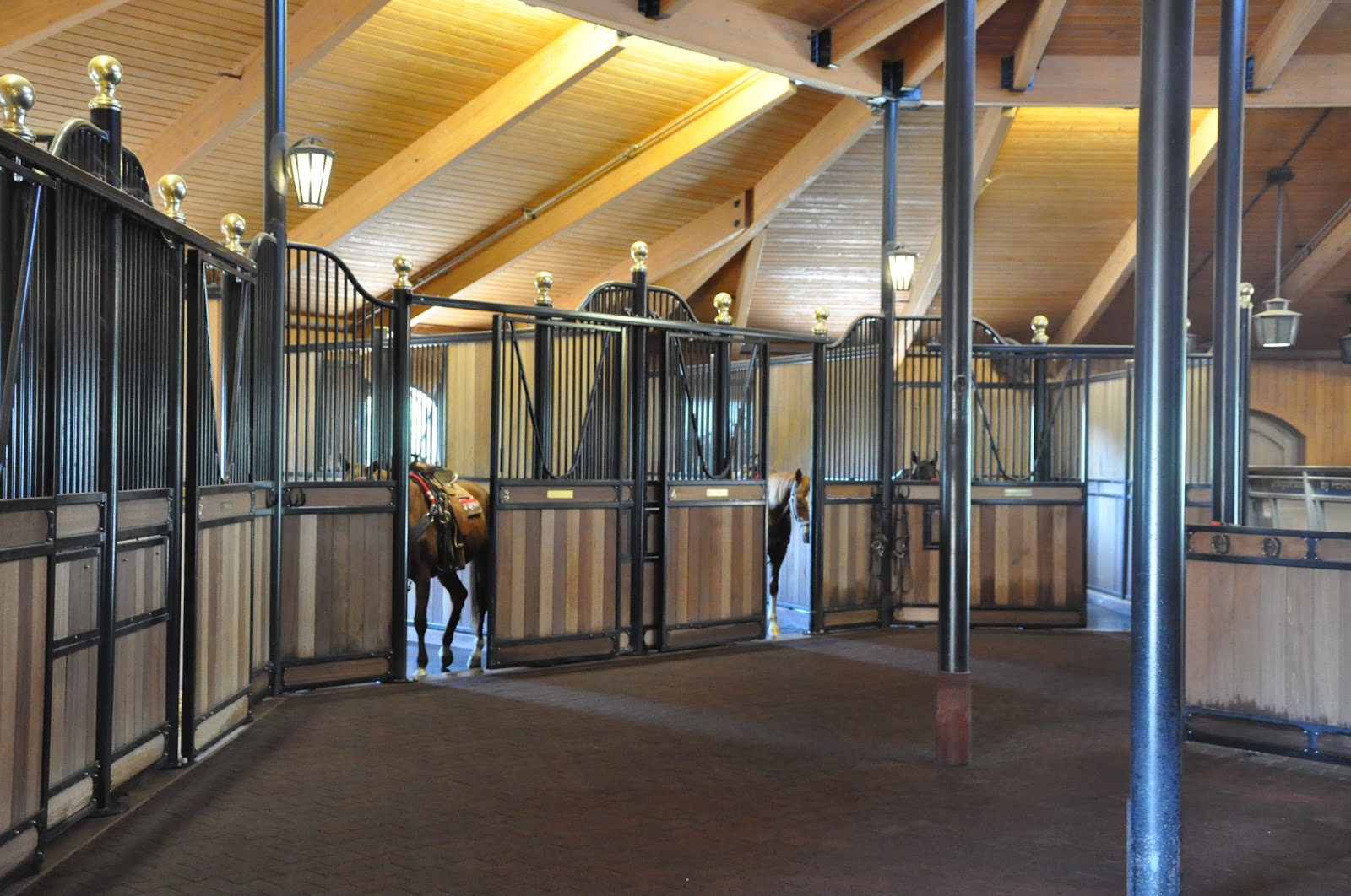 Den Vita Drömgården: Ridhus och ridhus