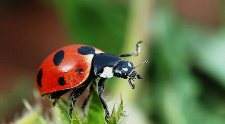 The Presurfer: May 2015