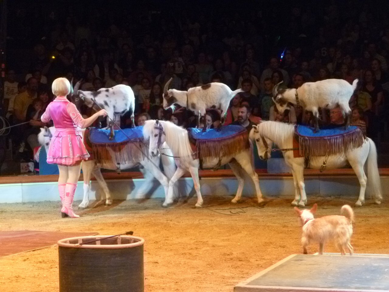 Evan and Lauren's Cool Blog: 4/29/11: Big Apple Circus Fun!