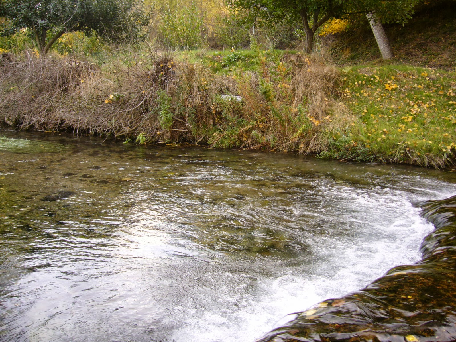 Arte y Naturaleza: EXCURSIÓN POR EL RÍO MESA 19.10.2013