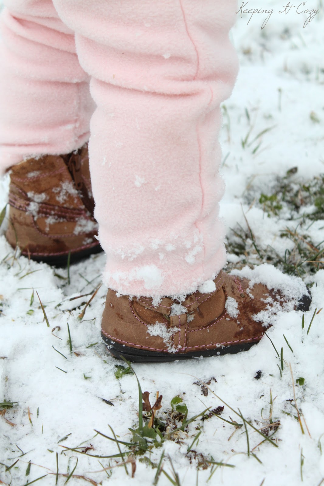 Keeping It Cozy: Meet Huck