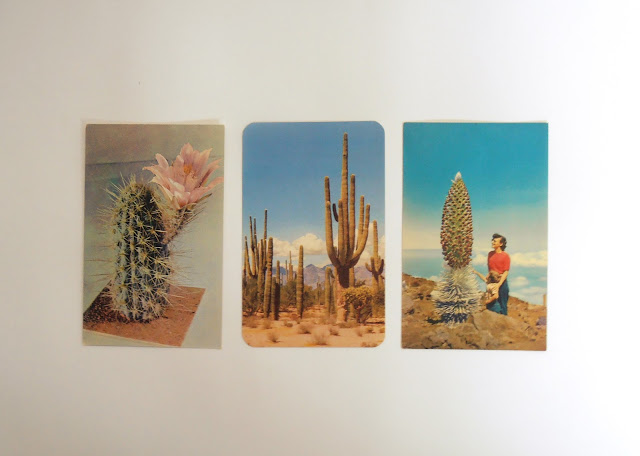 Thimble: Vintage Cactus Postcards
