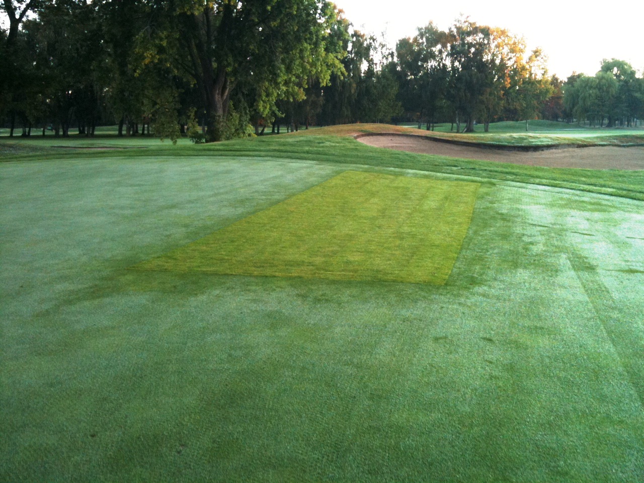 Quilchena Golf Club Turf Care: Sodding Greens