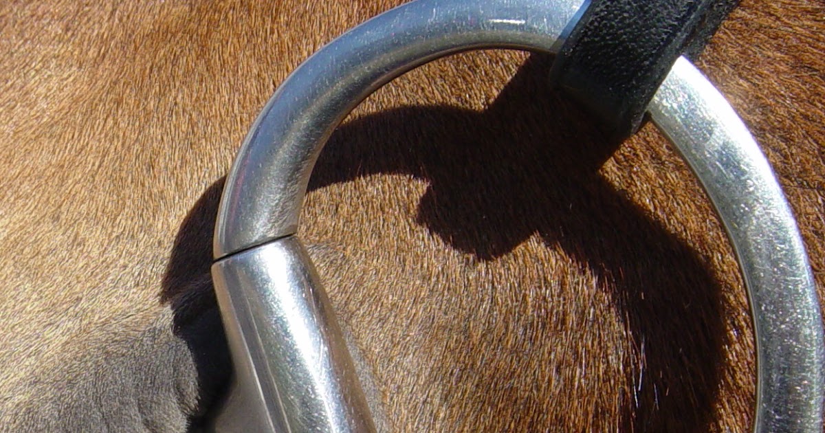 Foundation Horsemanship: What the Snaffle?