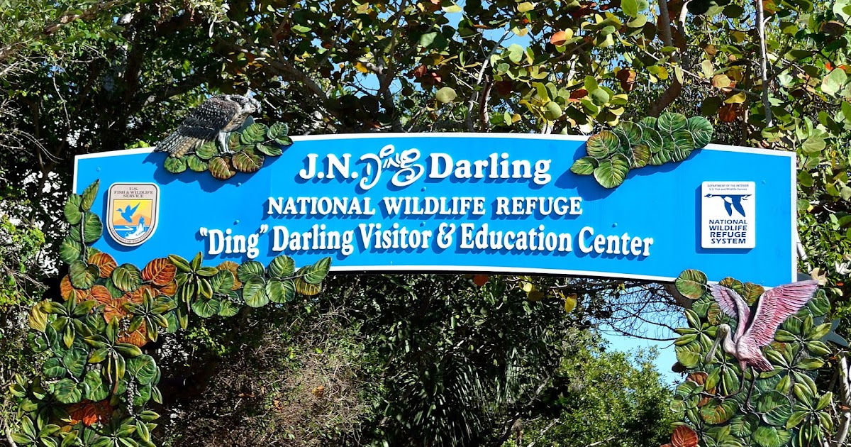 No Bad Days RVing: J.N. Ding Darling National Wildlife Refuge
