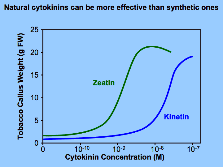 Plant Biotech: Cytokinins